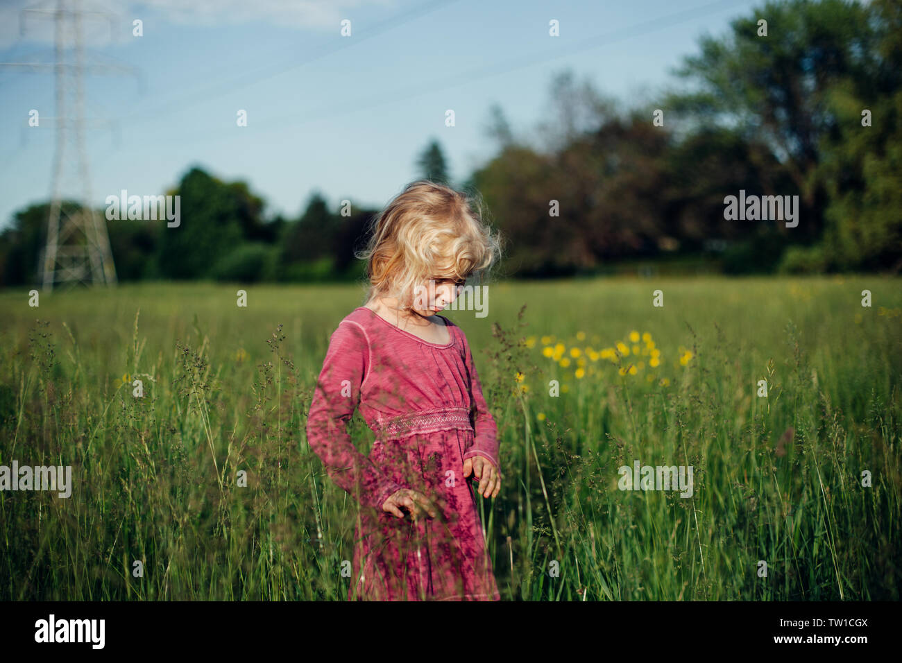 Child touching grass hi-res stock photography and images - Alamy
