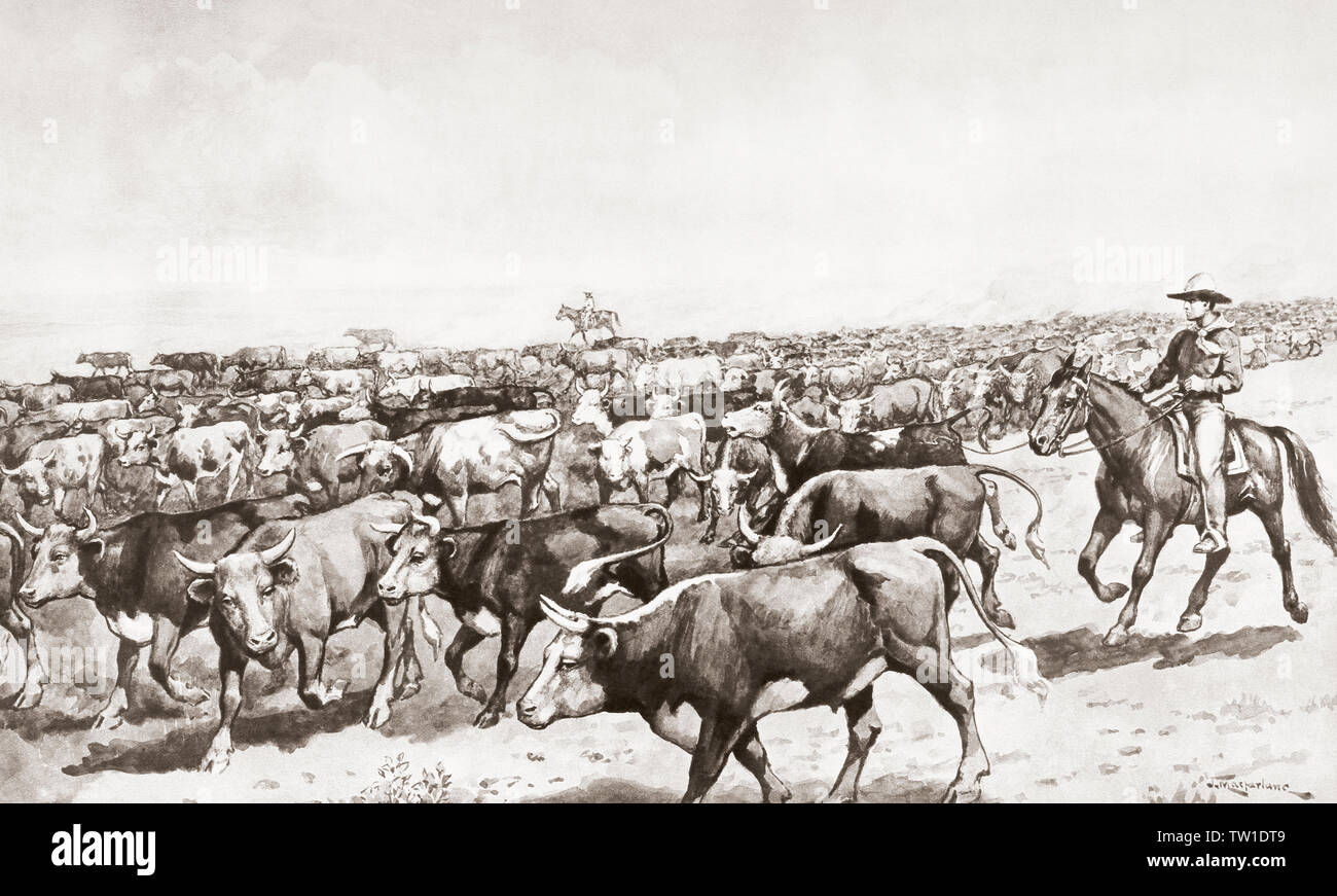 A Canadian cattle ranch. After a work by J. Macfarlane. From a ...