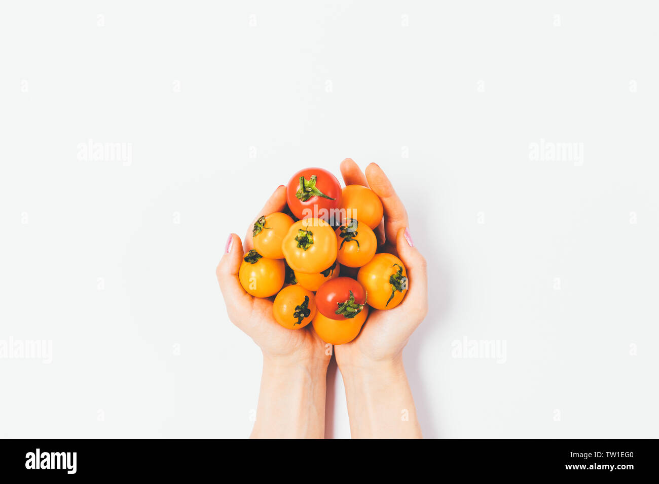 Woman's hands holding handful of fresh organic tomatoes yellow and red ...