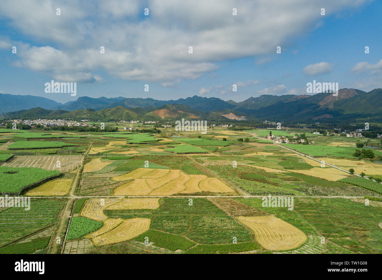 Aerial shot, country field Stock Photo - Alamy