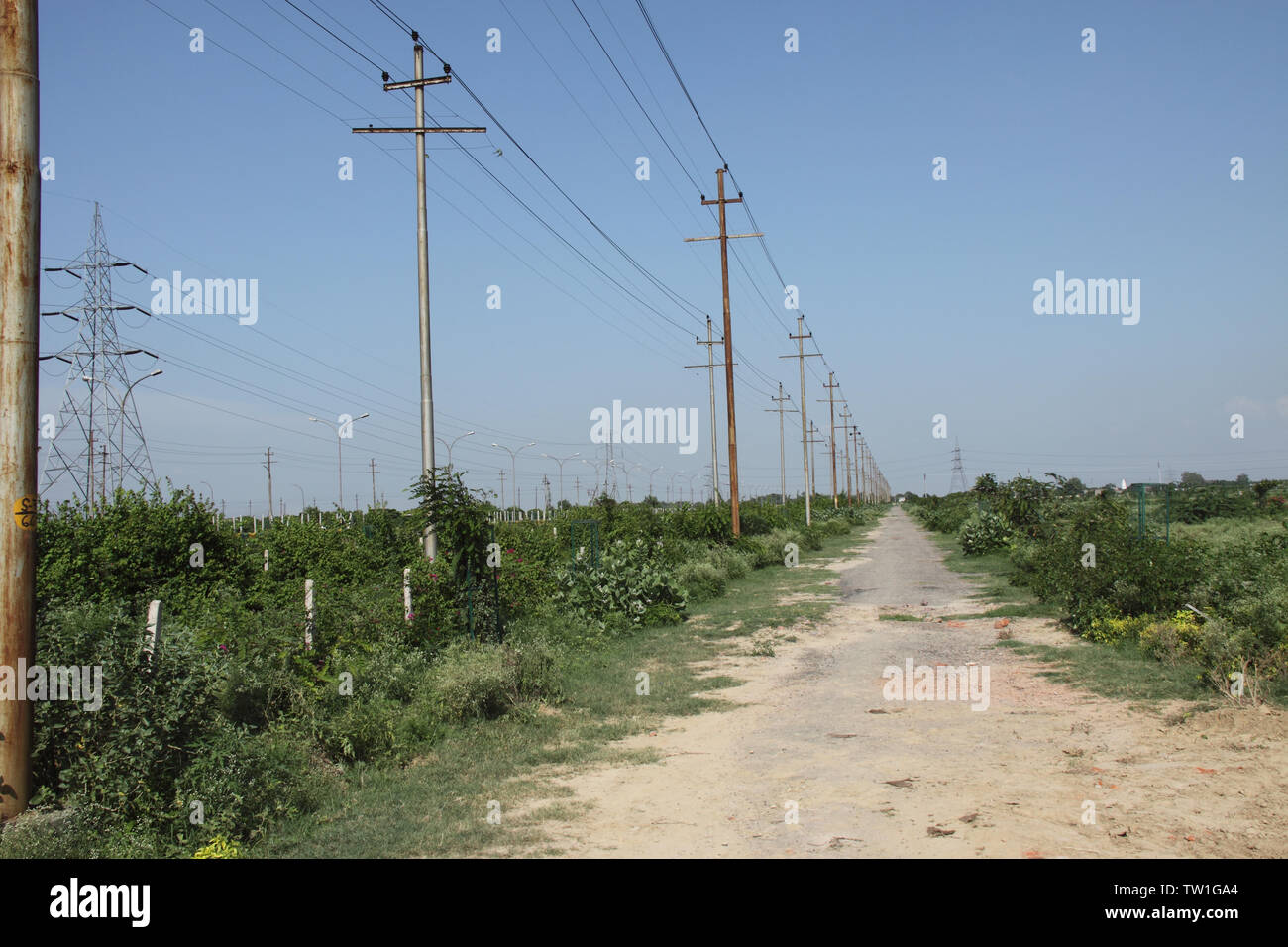 Power line along a road, India Stock Photo - Alamy