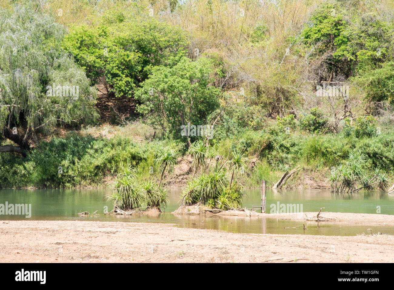 Native riverbank nature flora hi-res stock photography and images - Alamy