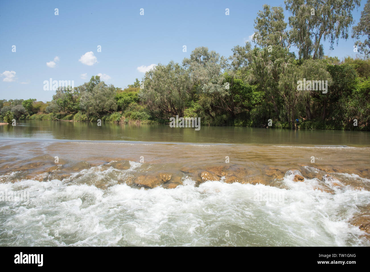 Stunning Daly River greenery with flowing waters over riverbed rocks in ...