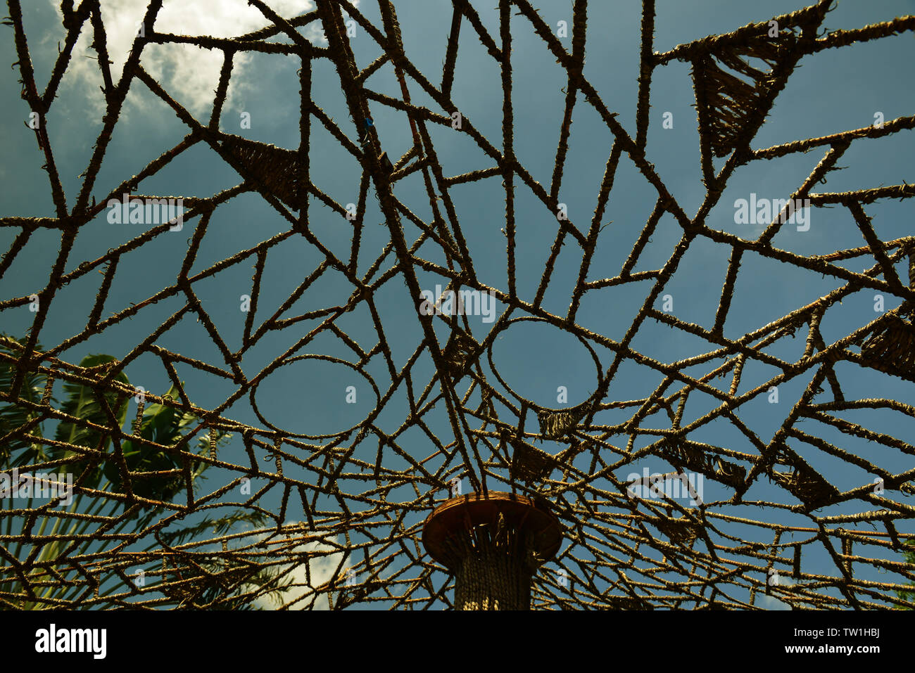 Irregular shape hi-res stock photography and images - Alamy