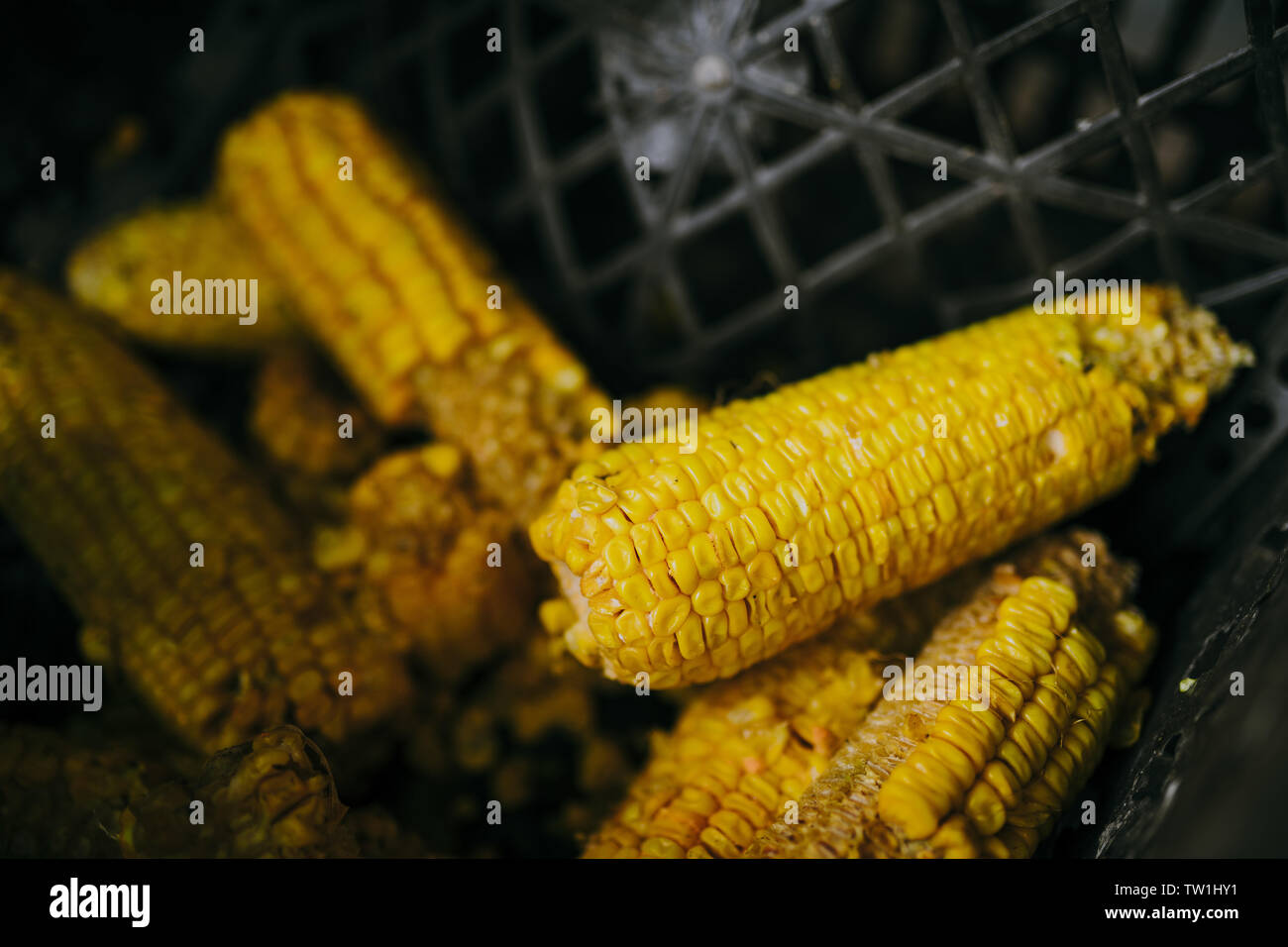 Eated hi-res stock photography and images - Alamy