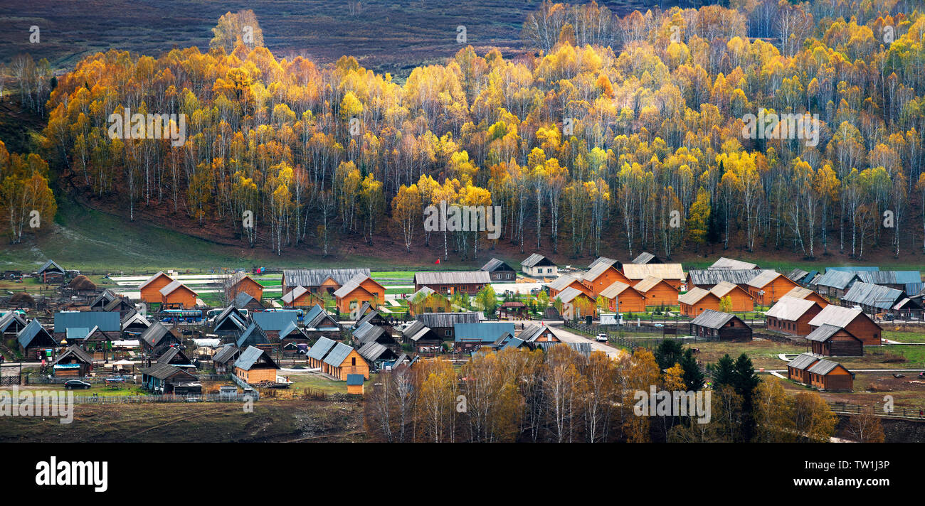 Birch trees and tuwa villages hi-res stock photography and images - Alamy