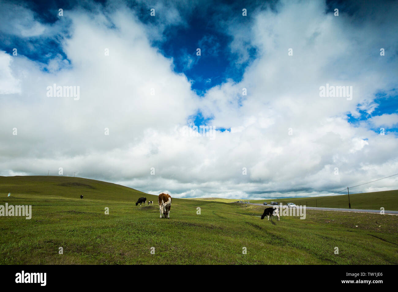 Hulunbuir prairie wide hi-res stock photography and images - Alamy