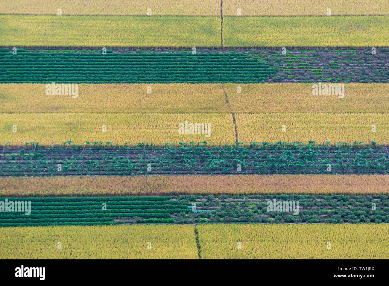 Intercropping hi-res stock photography and images - Alamy