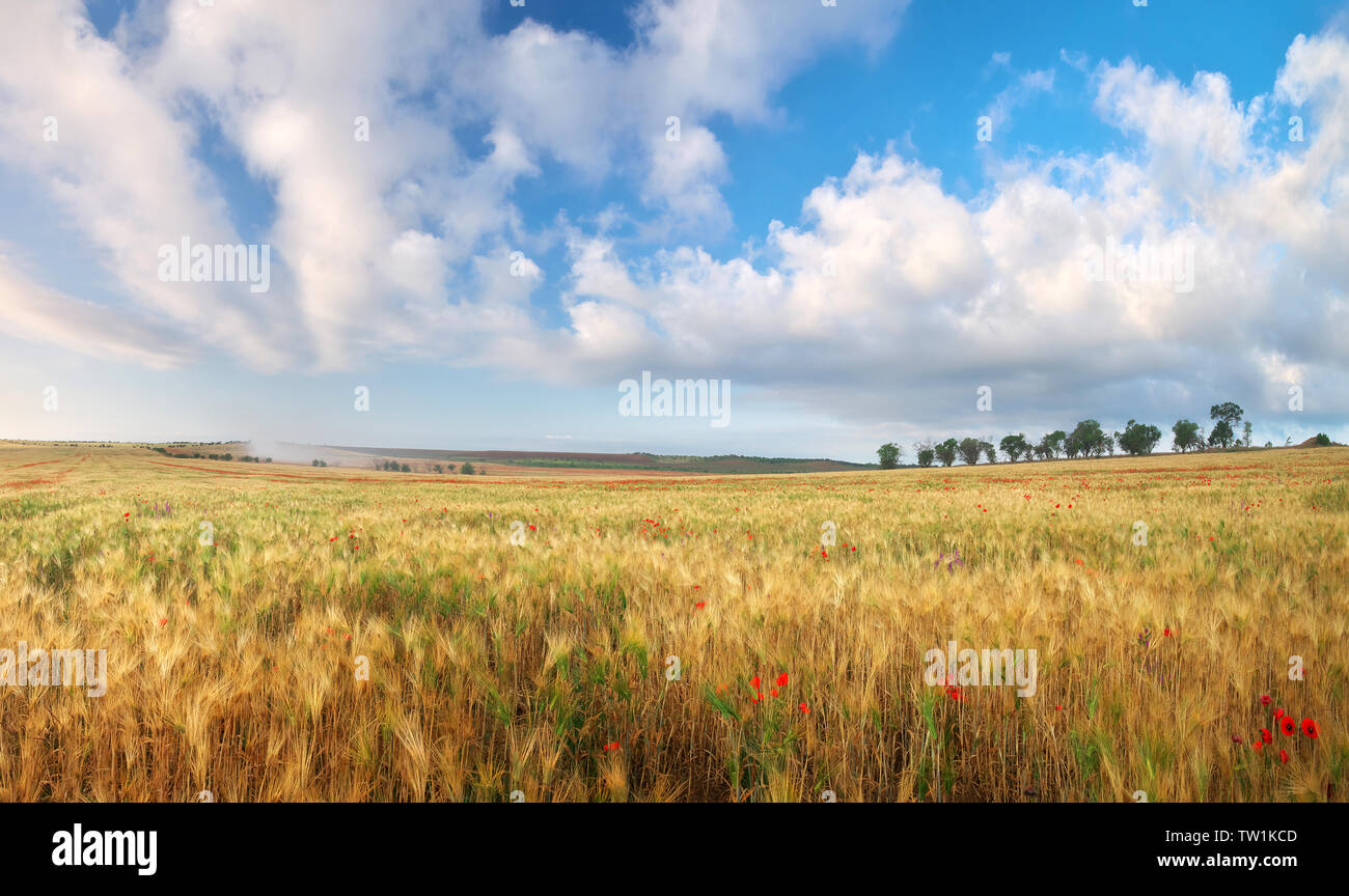 Penorama hi-res stock photography and images - Alamy