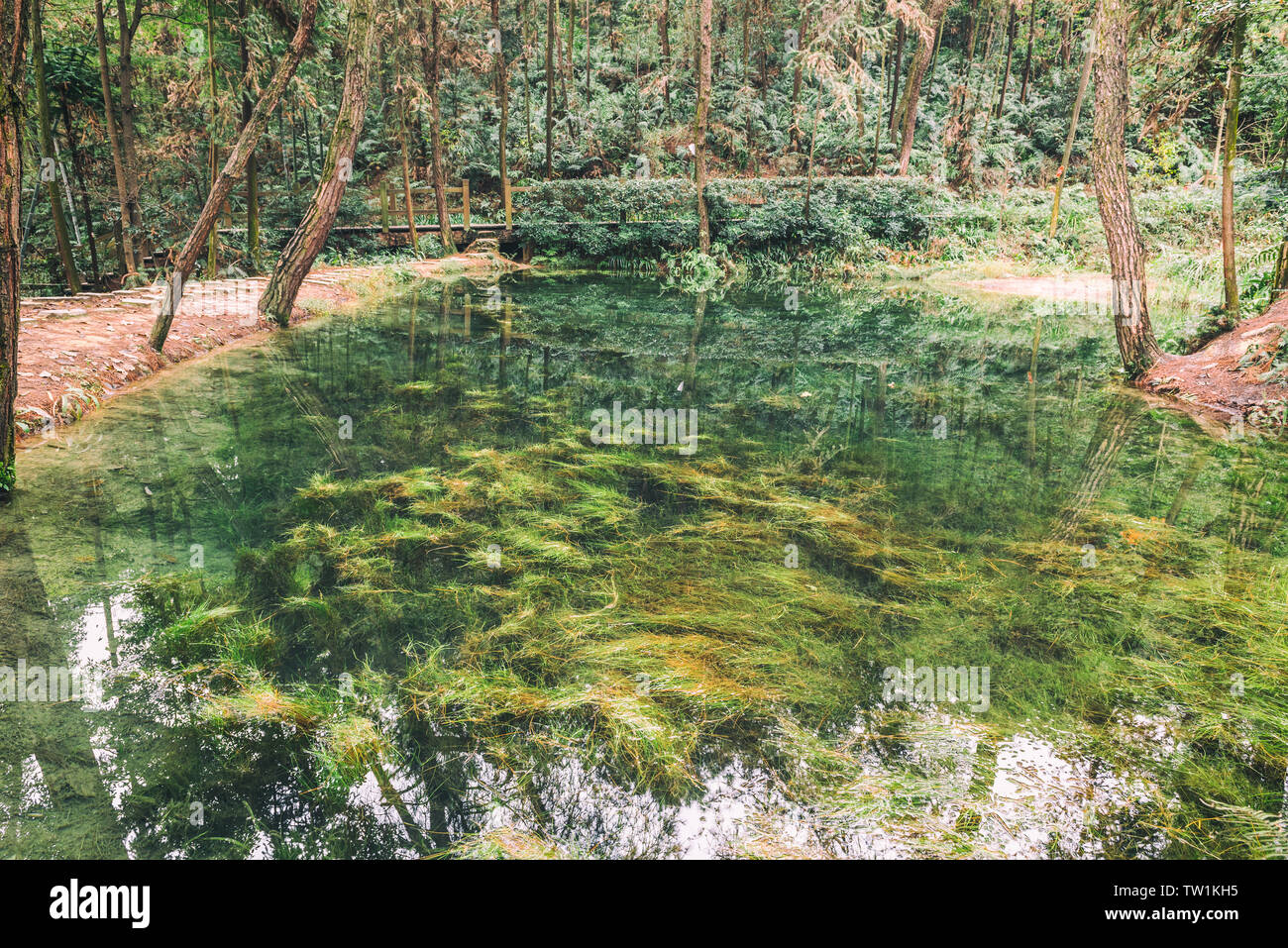 Scenery of Jiufeng Yaochi, Jiufengshan, Chongqing Stock Photo - Alamy