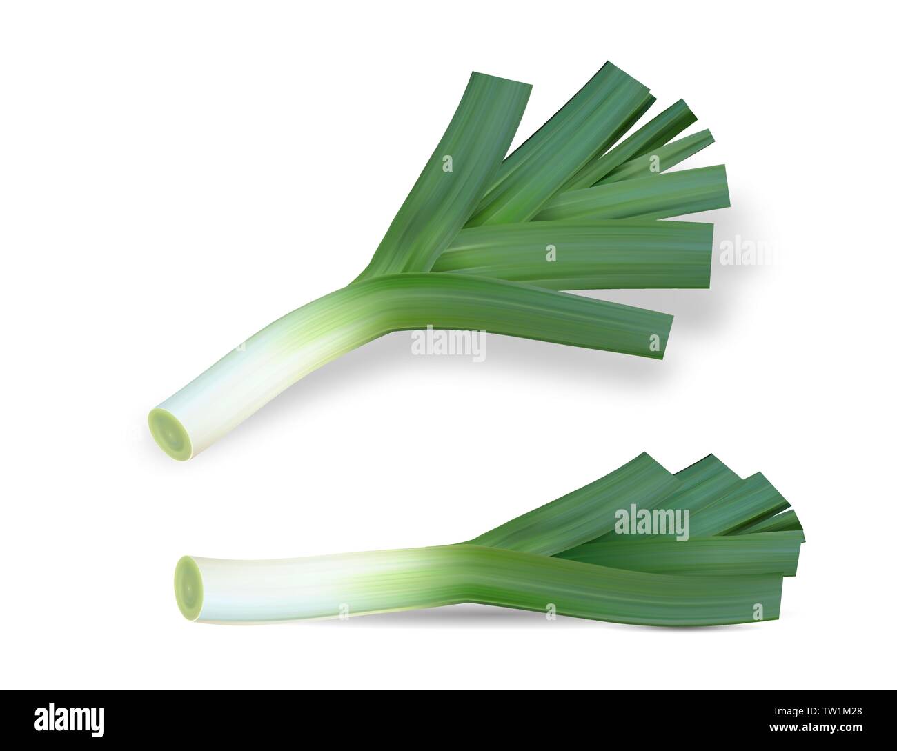 Leek 3d Stock Vector Images - Alamy
