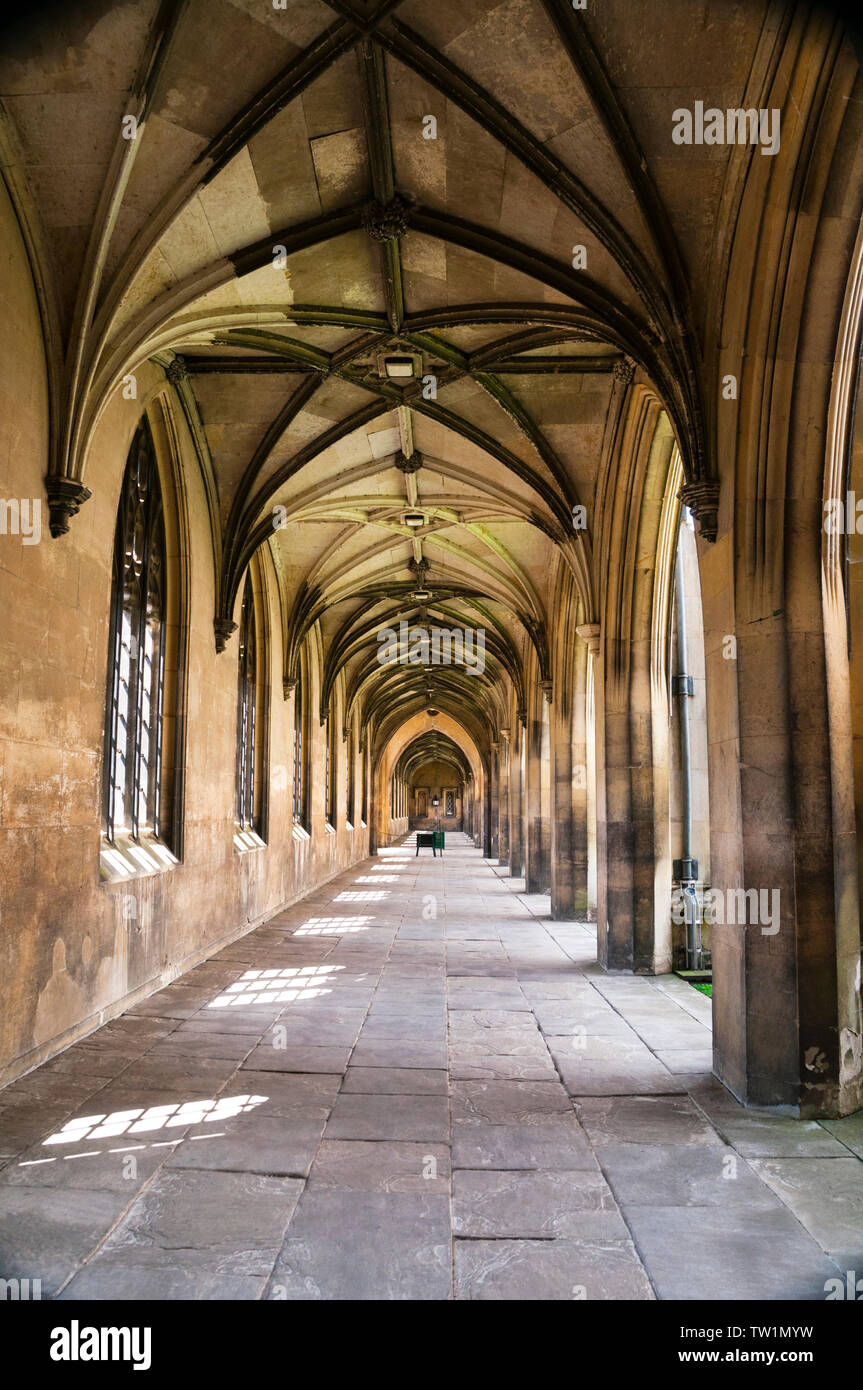 New court cloister hi-res stock photography and images - Alamy