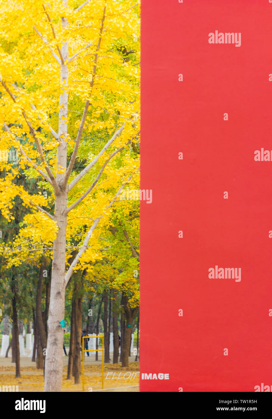 Autumn color of the altar Stock Photo - Alamy