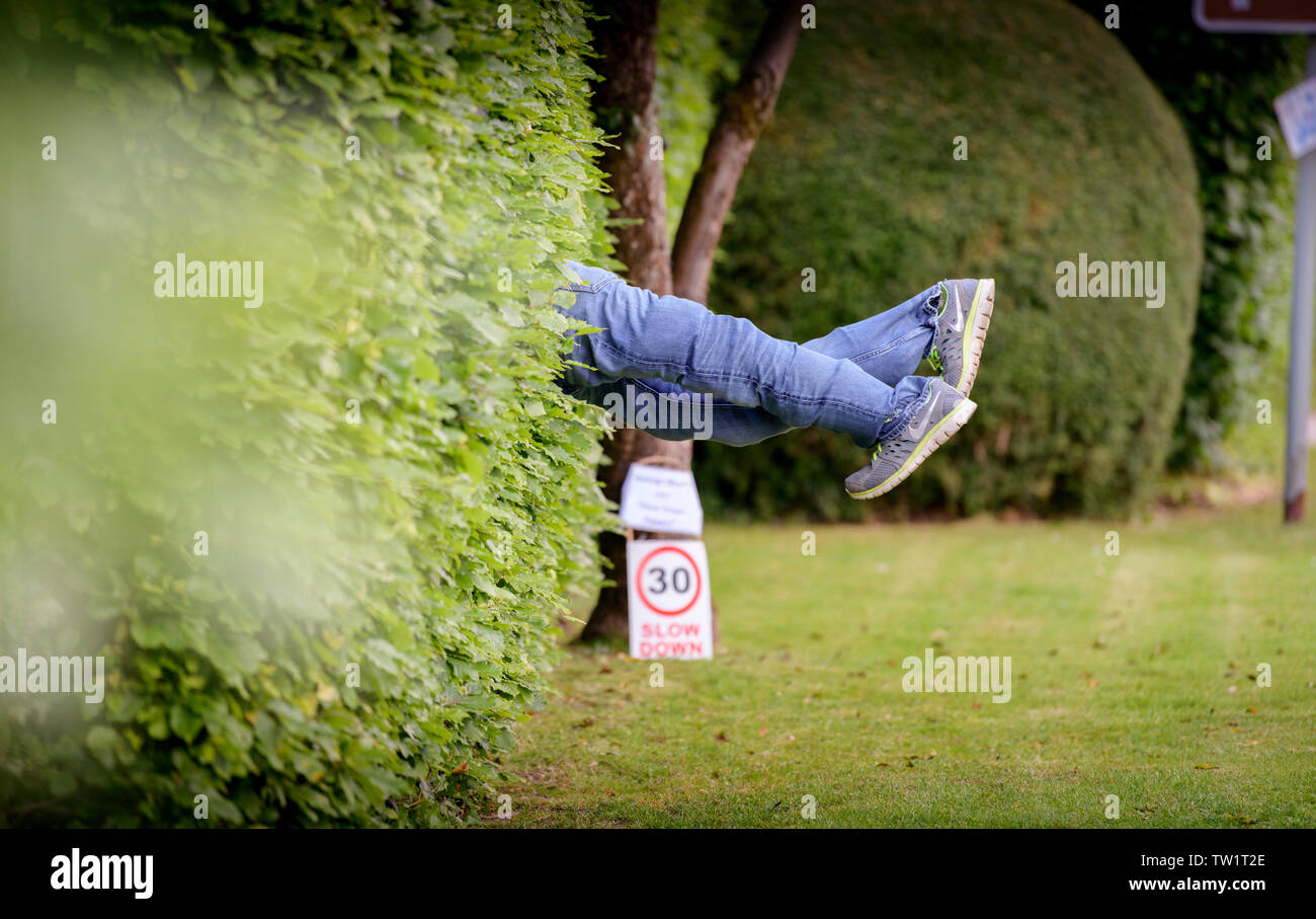 Man stuck in hedge hi-res stock photography and images - Alamy