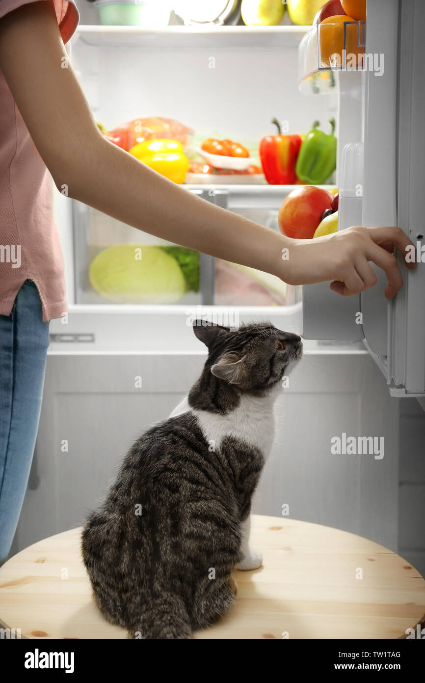 Young woman and cute funny cat looking inside open fridge Stock Photo ...