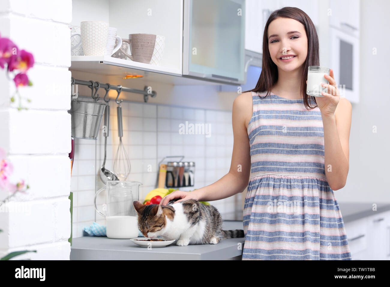 Beautiful young woman feeding cute cat in kitchen Stock Photo - Alamy