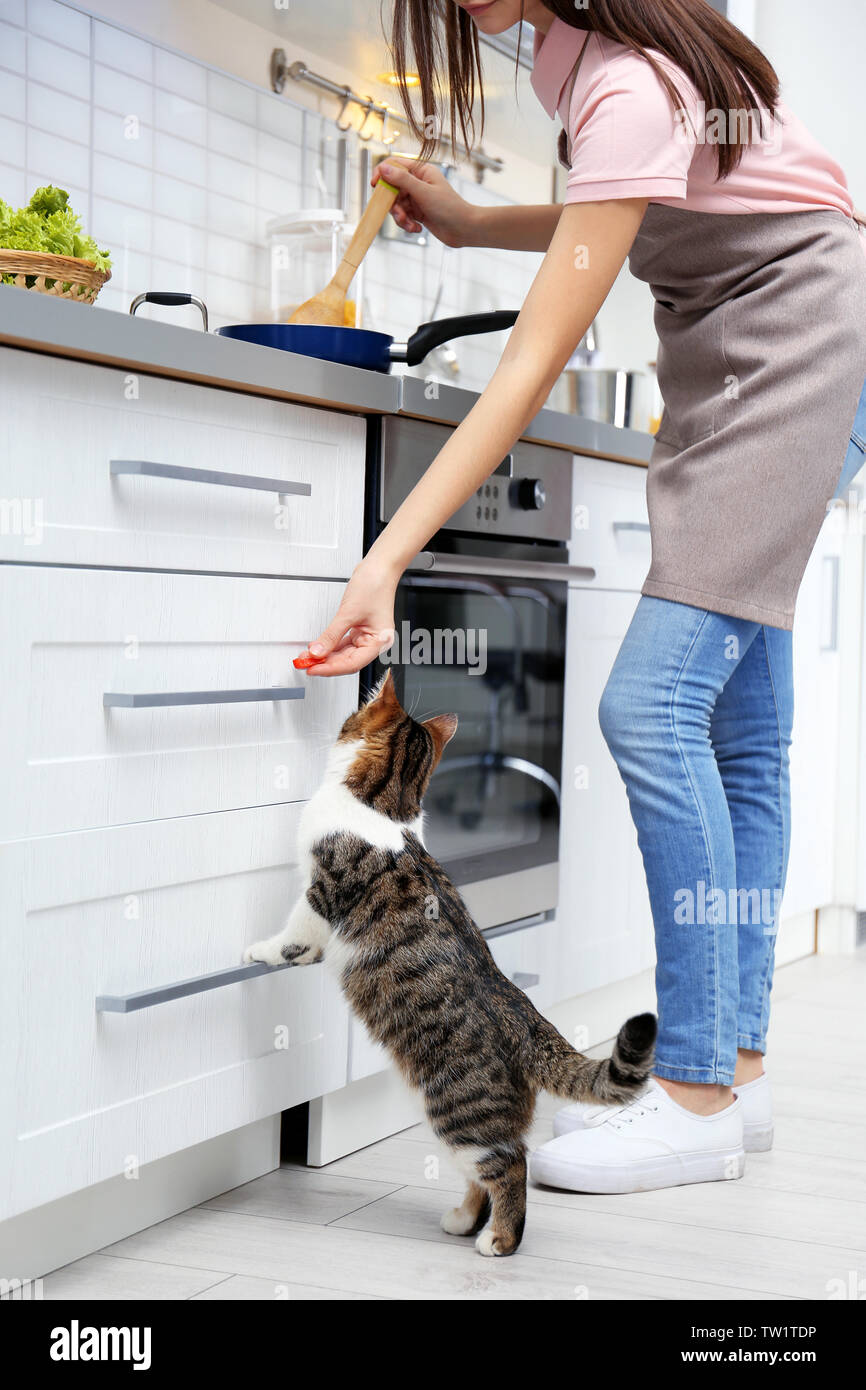 Young woman feeding cute cat while cooking in kitchen Stock Photo - Alamy