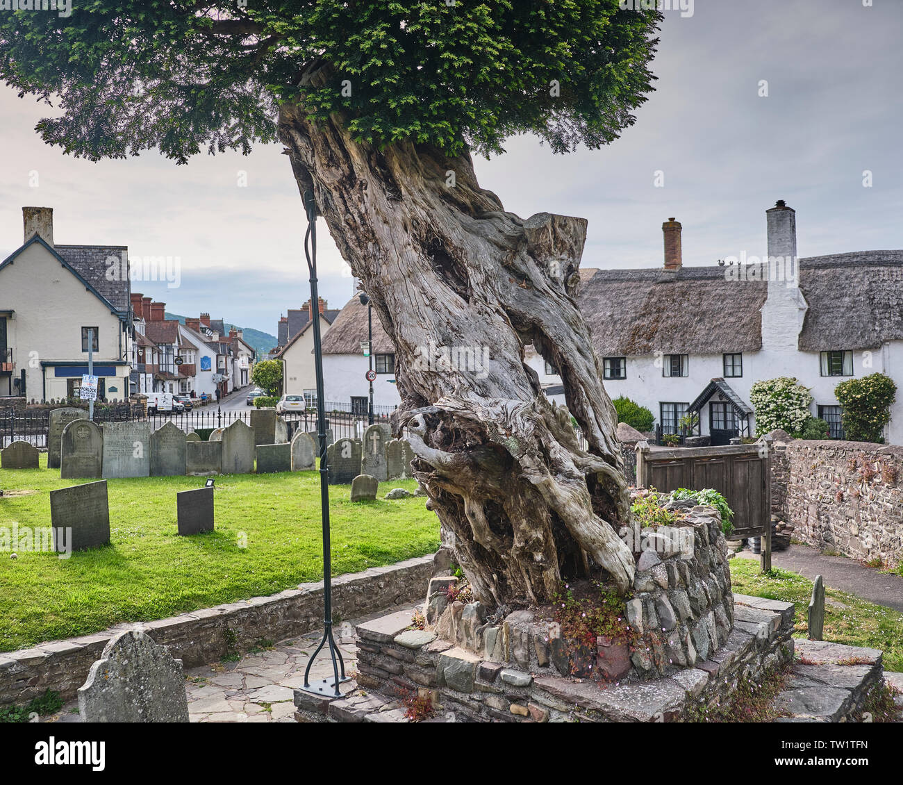 Yew Tree Churchyard Cemetery Stock Photos & Yew Tree Churchyard ...