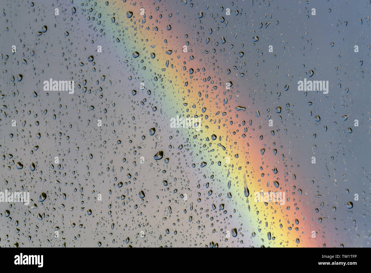 Rainbow Water Drops Background