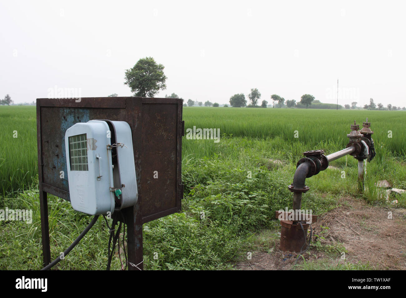 Electric tubewell in a field Stock Photo - Alamy