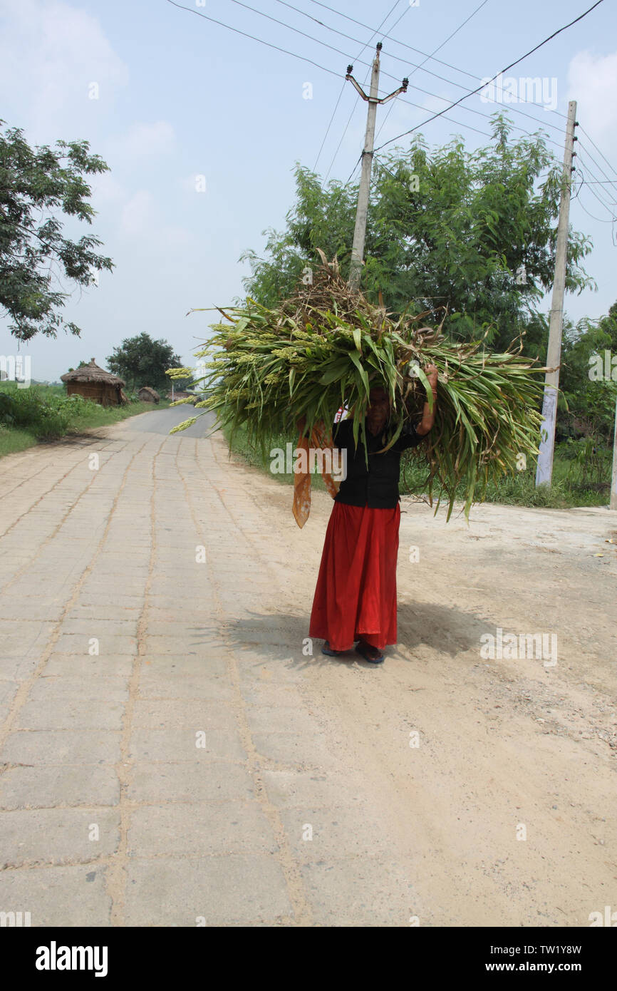 Woman carrying bundle on head hi-res stock photography and images - Alamy