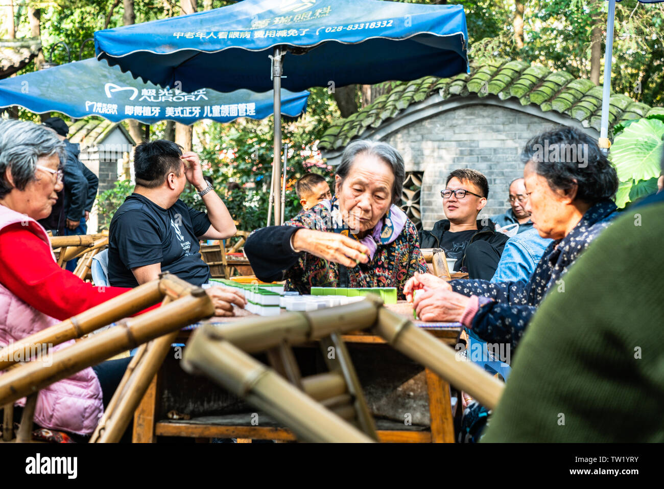 Old man playing cards at Heming Tea Club in Chengdu Park Stock Photo ...