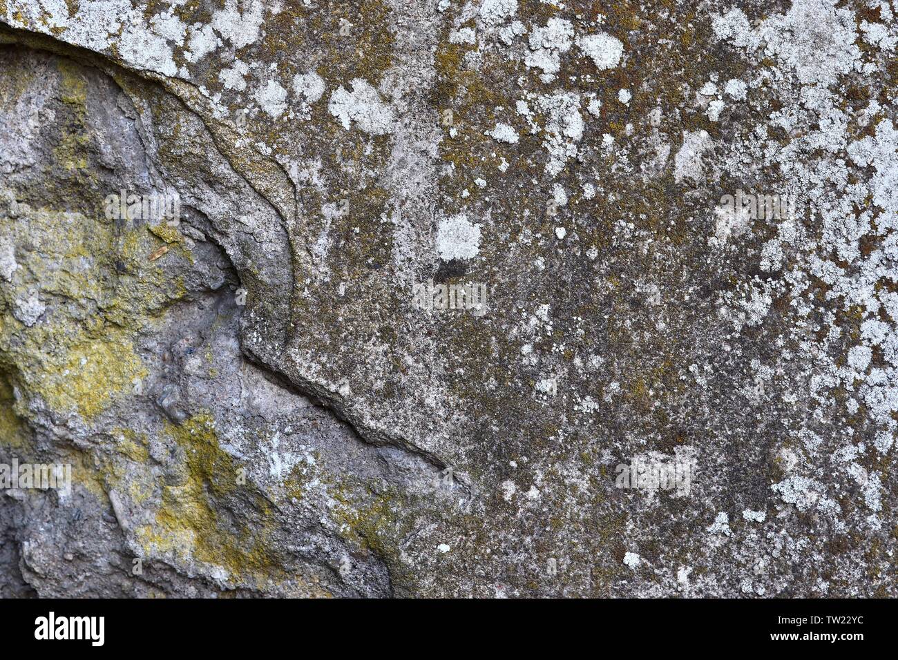 Detailed close up surface of aged and weathered concrete wall textures ...
