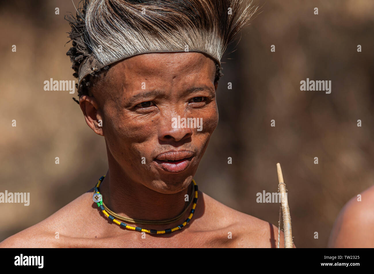 Young male Bushman hunter Stock Photo - Alamy