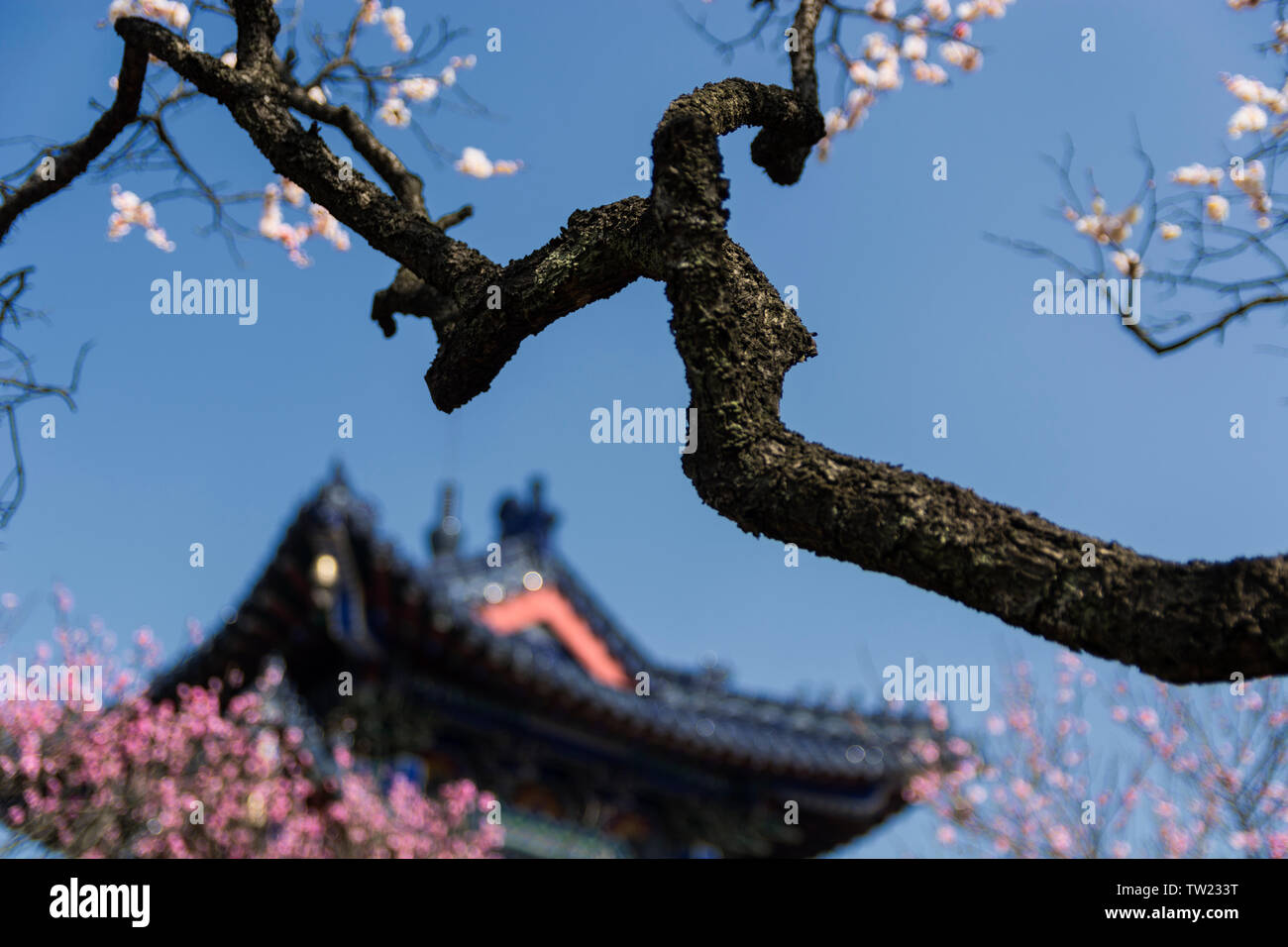 Guan you ming hi-res stock photography and images - Alamy