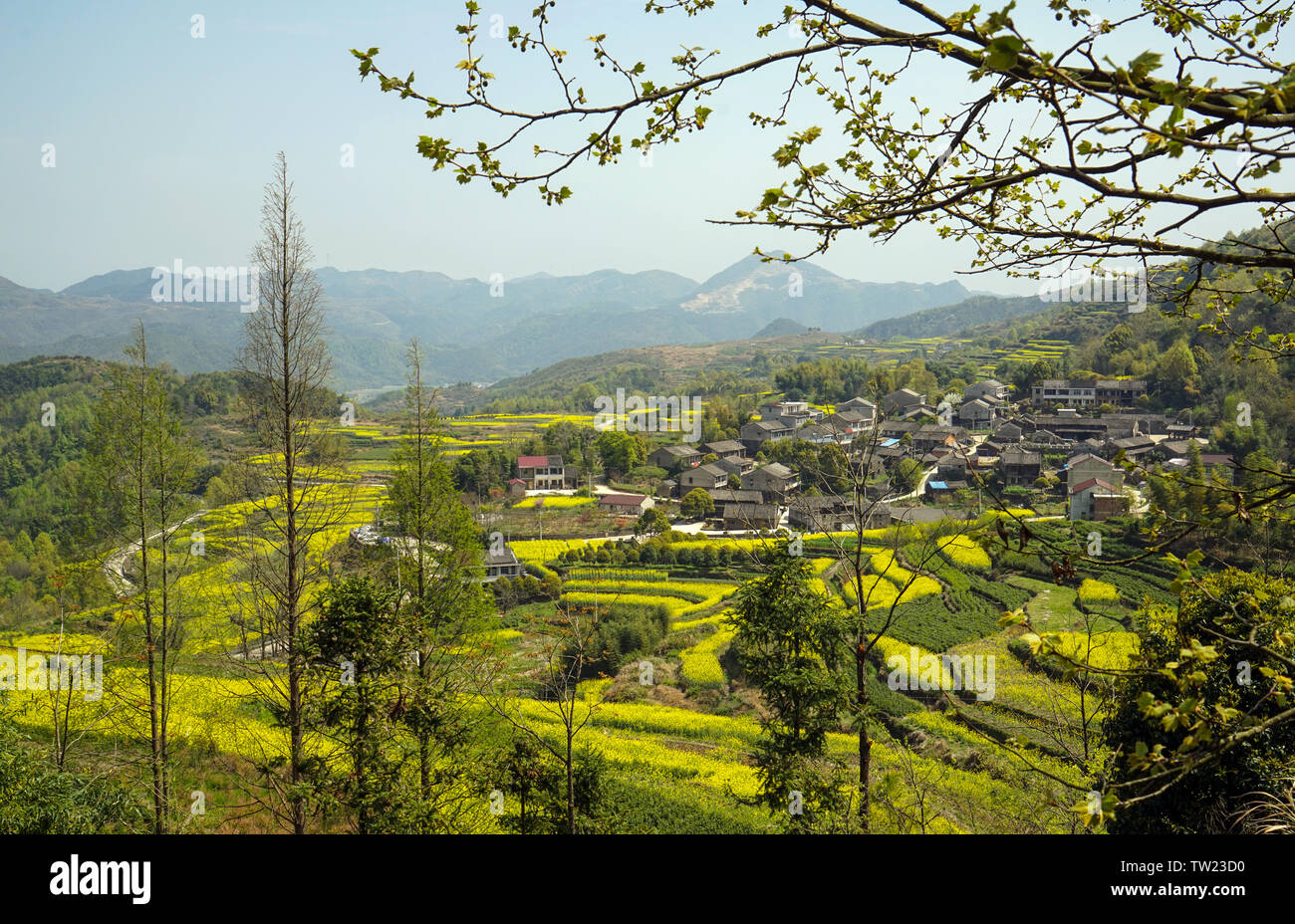 Ninghai county hi-res stock photography and images - Alamy