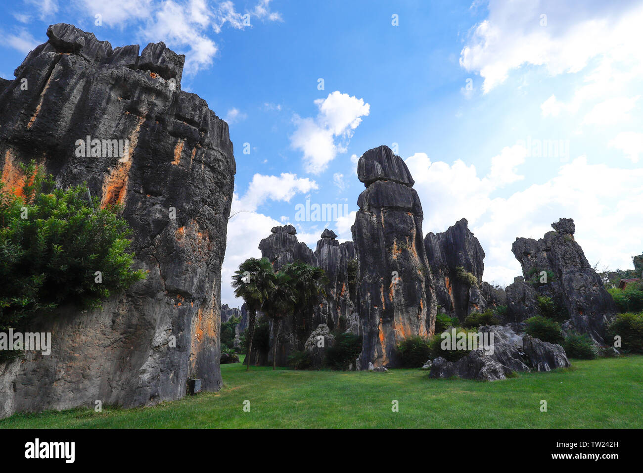 The Stone Forest landscape in Yunnan. This is a limestone formations ...