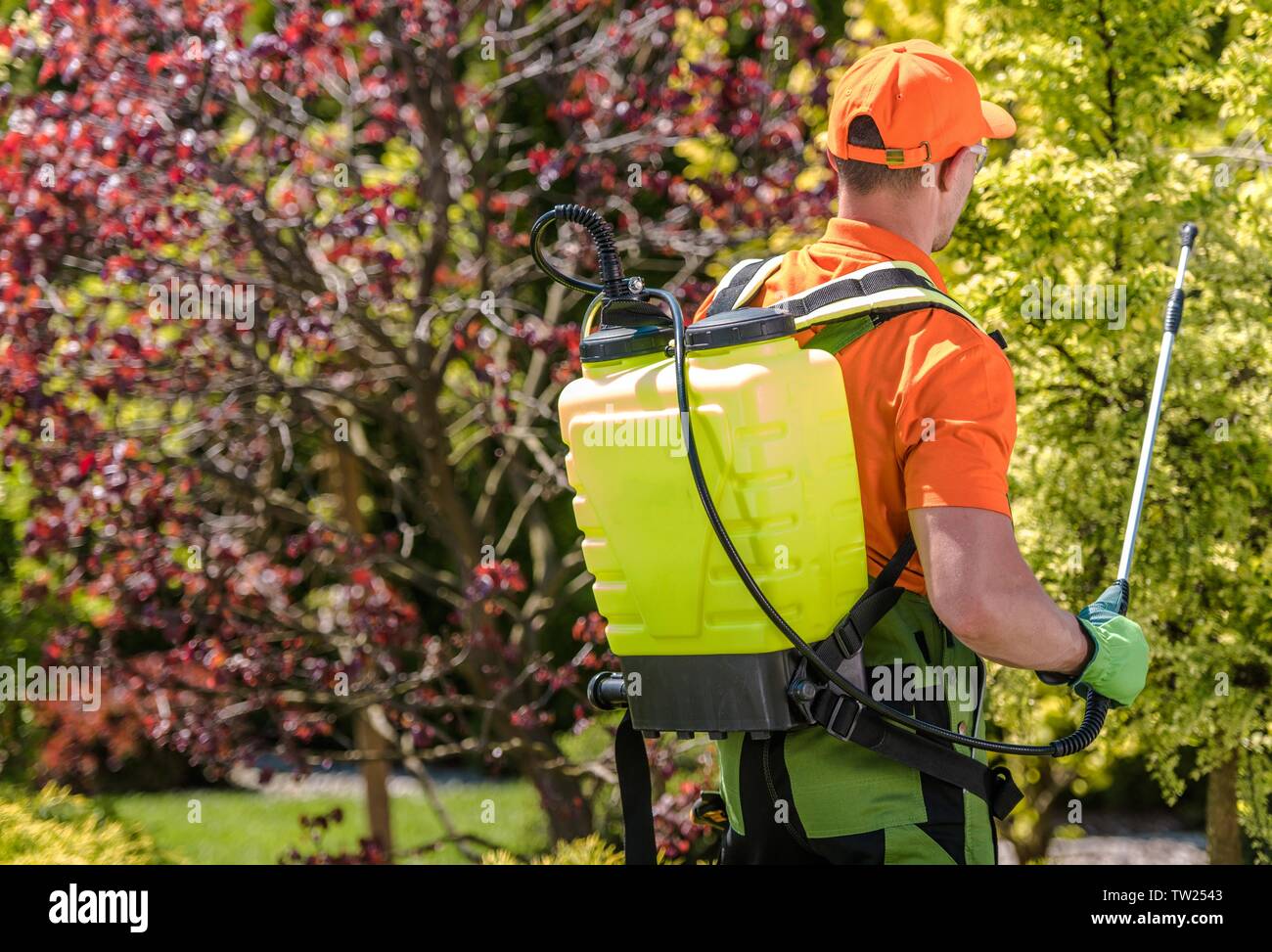 Agriculture Theme. Seasonal Insecticide Work. Caucasian Garden Worker ...