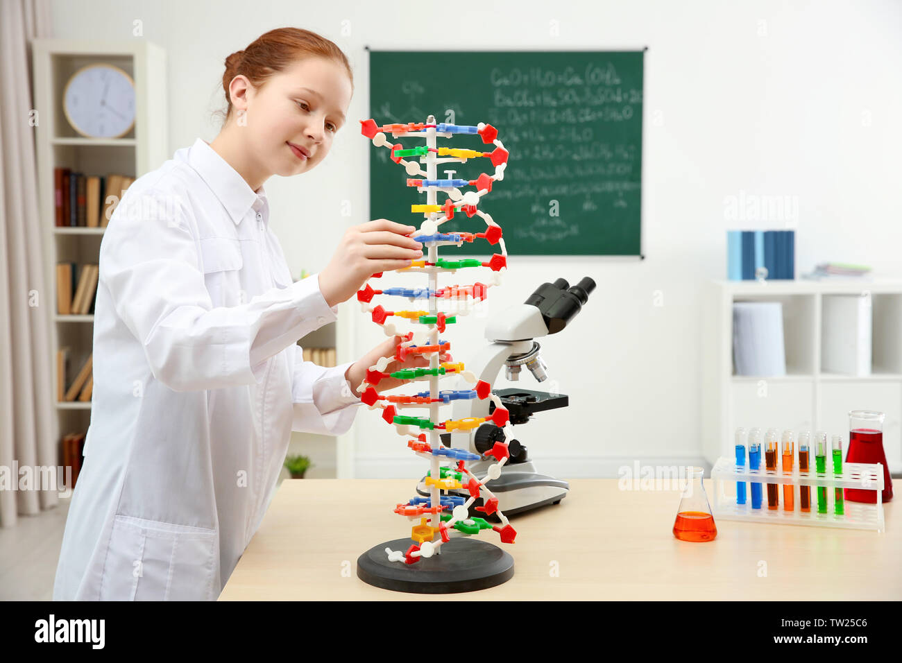 Beautiful school girl studying DNA model in chemistry class Stock Photo ...