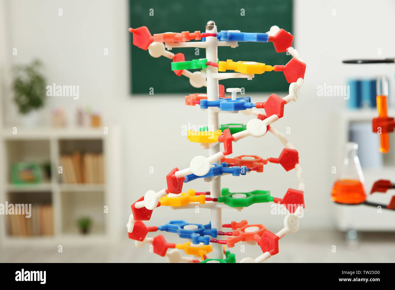 Plastic DNA model, closeup Stock Photo - Alamy
