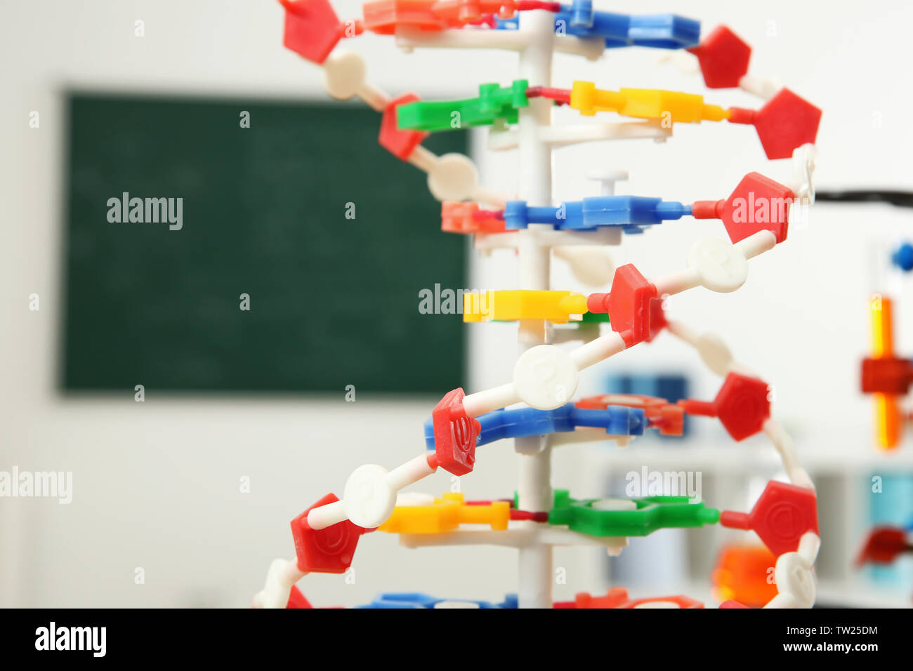 Plastic DNA model, closeup Stock Photo - Alamy