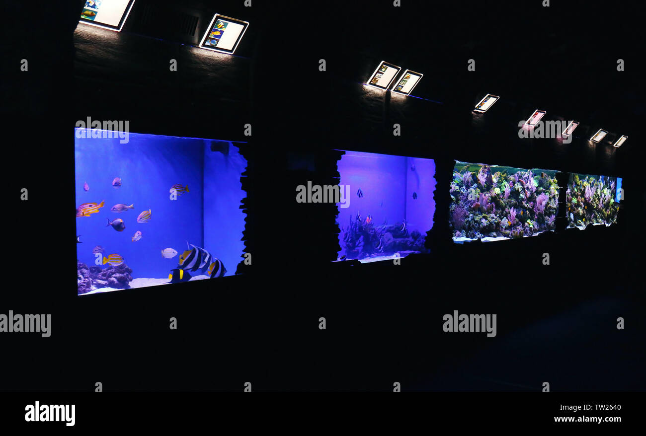 Modern zoo hi-res stock photography and images - Alamy