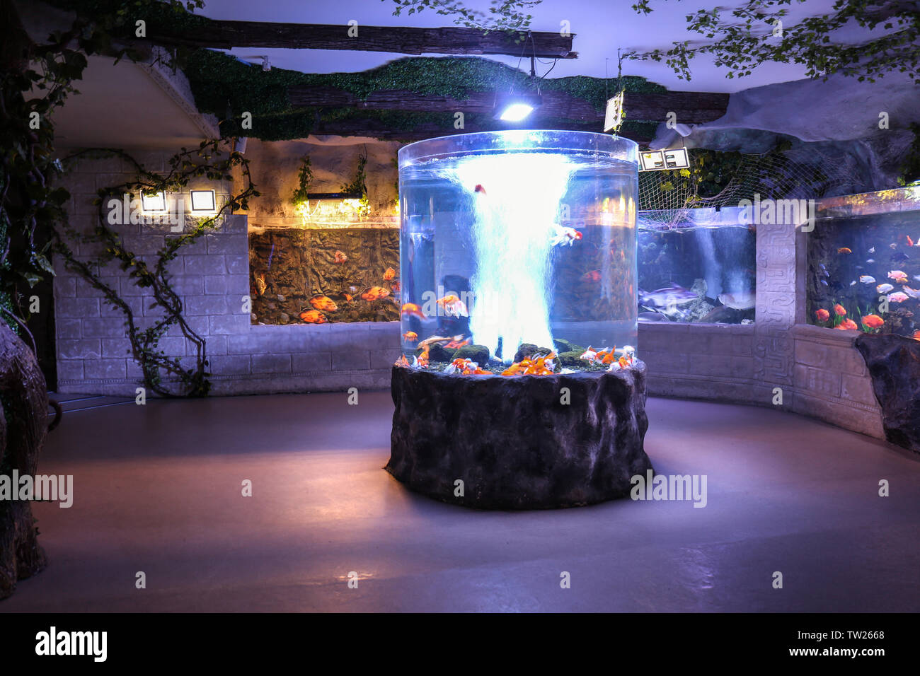 Interior of beautiful modern oceanarium Stock Photo - Alamy