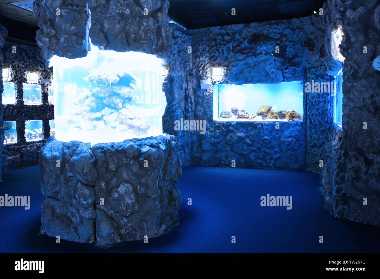 Interior of beautiful modern oceanarium Stock Photo - Alamy