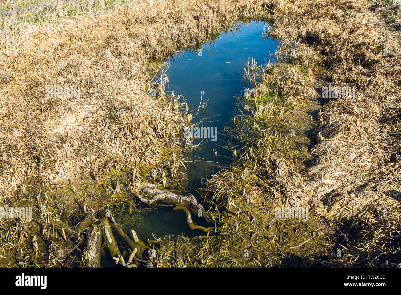 Remaining water hi-res stock photography and images - Alamy