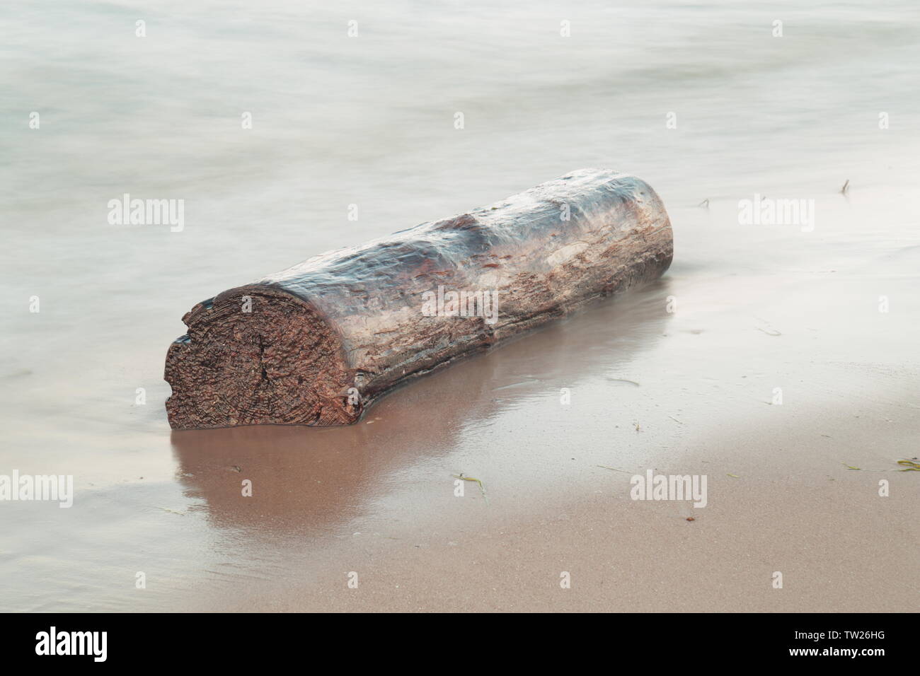 Log embedded in sand on beach; wet from waves flowing over it Stock ...