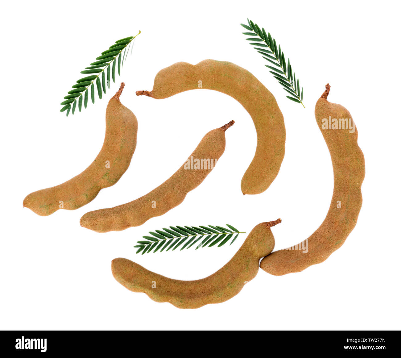 Tamarind on white background Stock Photo - Alamy