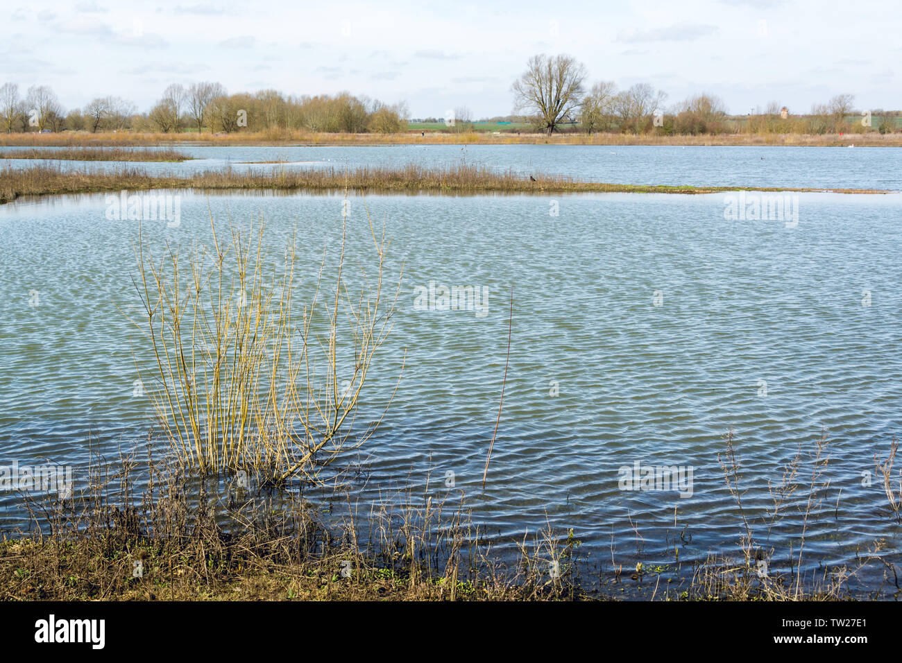 Water in shallow lake forming subtle waves by the wind - 2 Stock Photo ...