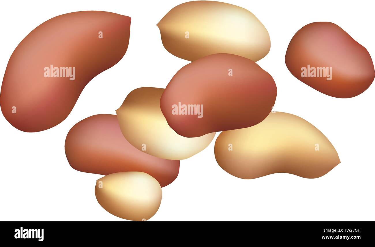 Beer peanut icon. Cartoon of beer peanut vector icon for web design ...