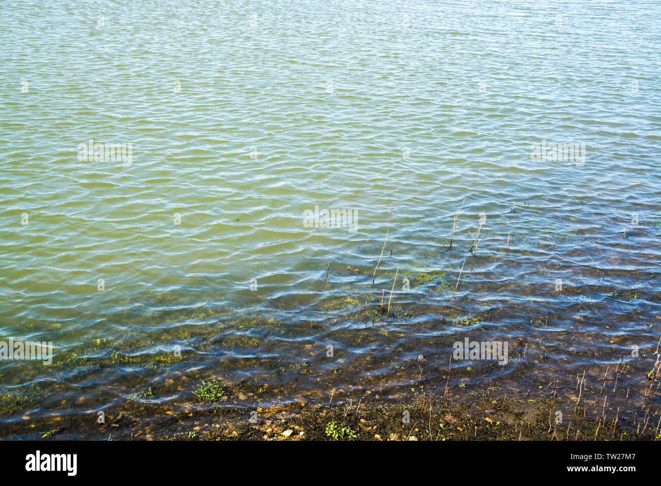 Waves formed by the wind on shallow water - 2 Stock Photo - Alamy