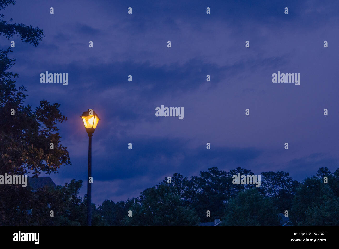Single lone street light lamp post at night shining in the dark in the ...