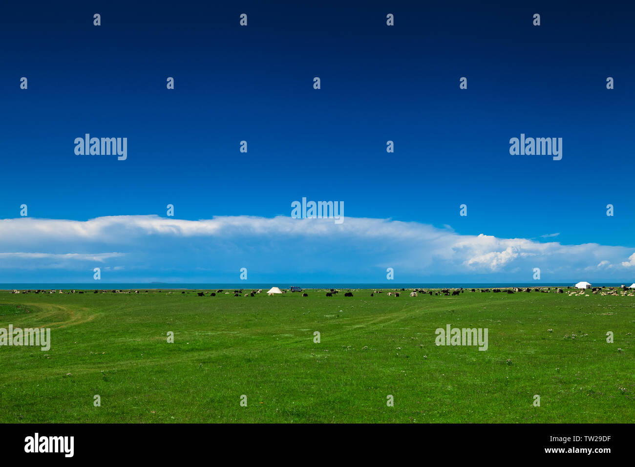 Natural scenery in Qinghai Stock Photo - Alamy