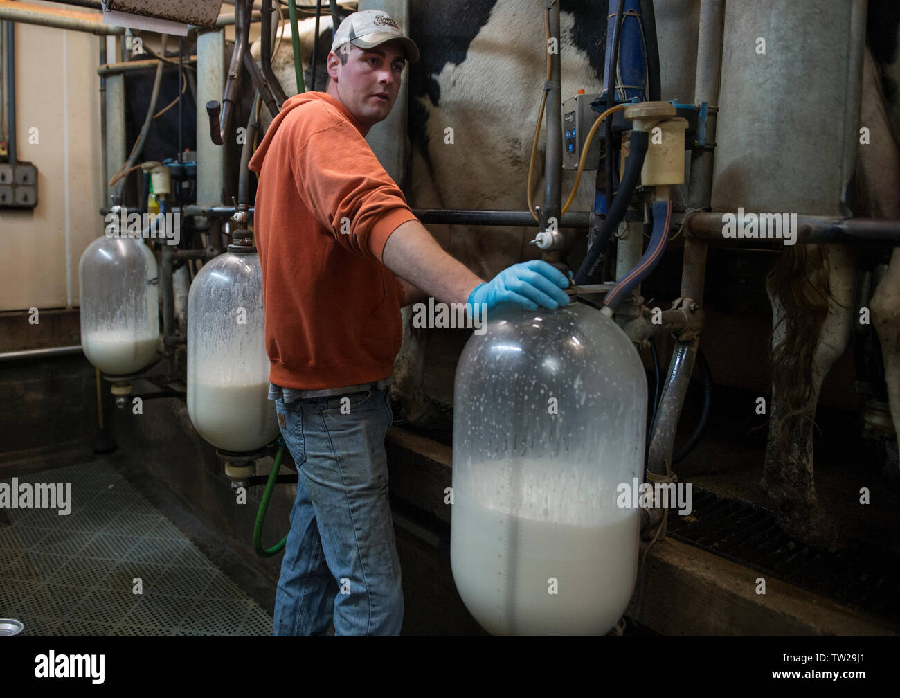 At the dairy crest works hi-res stock photography and images - Alamy