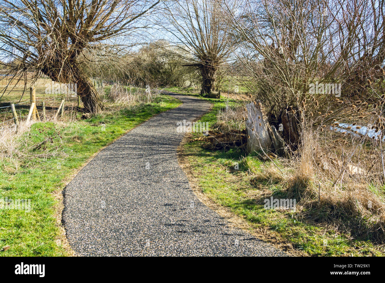 Curvy path at Floodplain Forest on sunny morning Stock Photo - Alamy