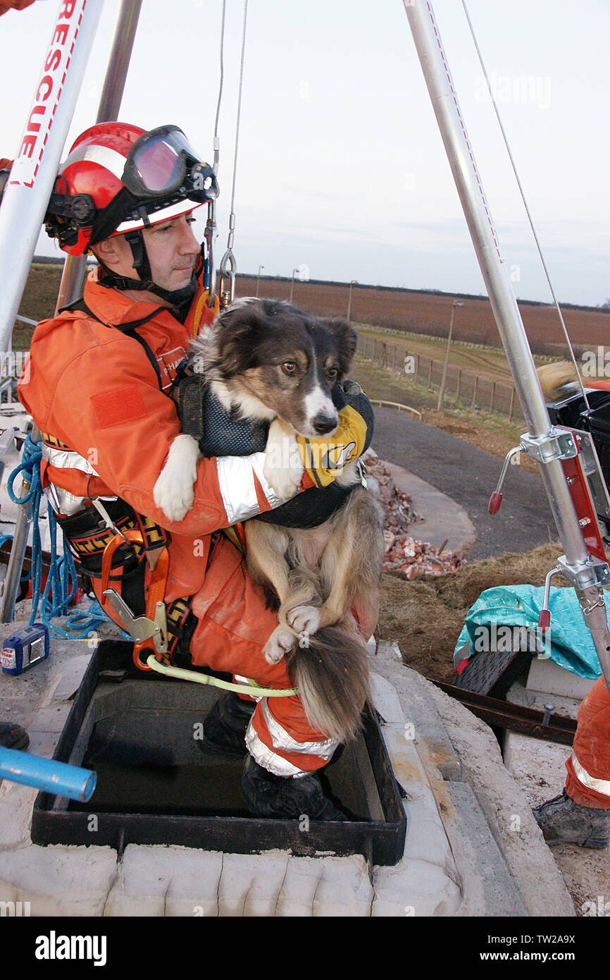 Urban Search and Rescue dog searching collapsed Building Stock Photo ...