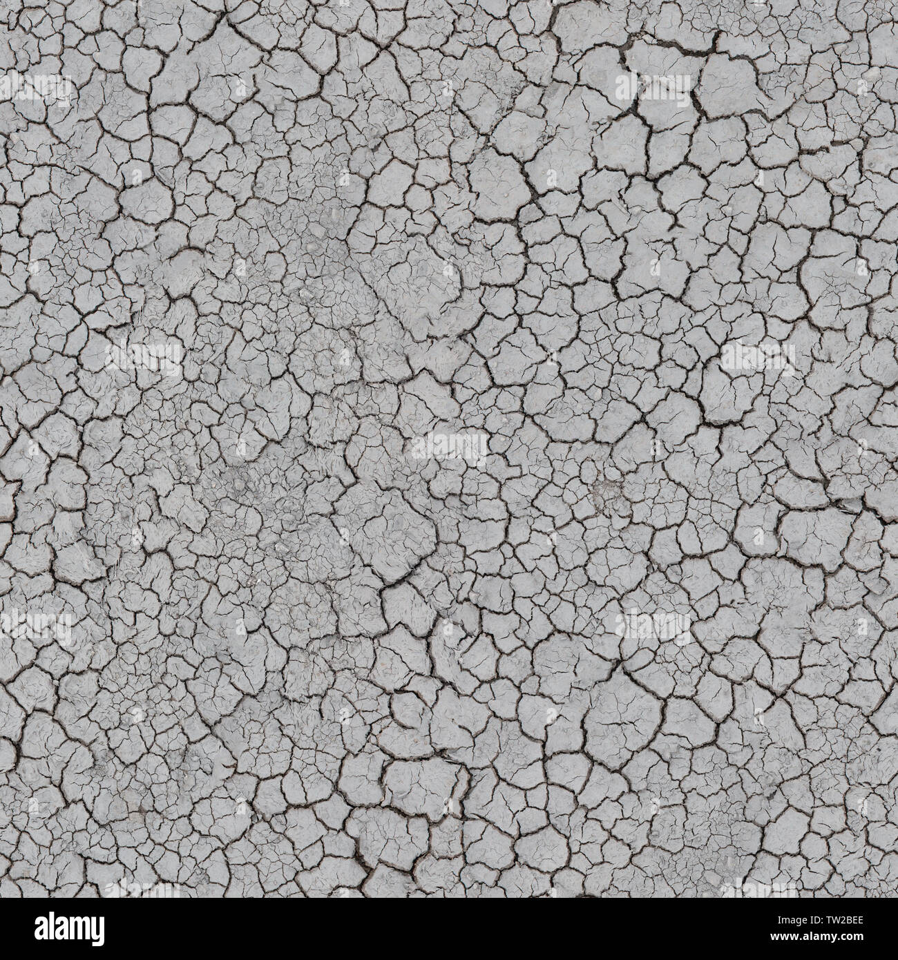 Dead plants cracked earth hi-res stock photography and images - Alamy